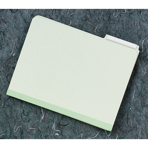 File Folder - Light Green Pressboard - 1/3 Cut, Plastic Tabs, All ...